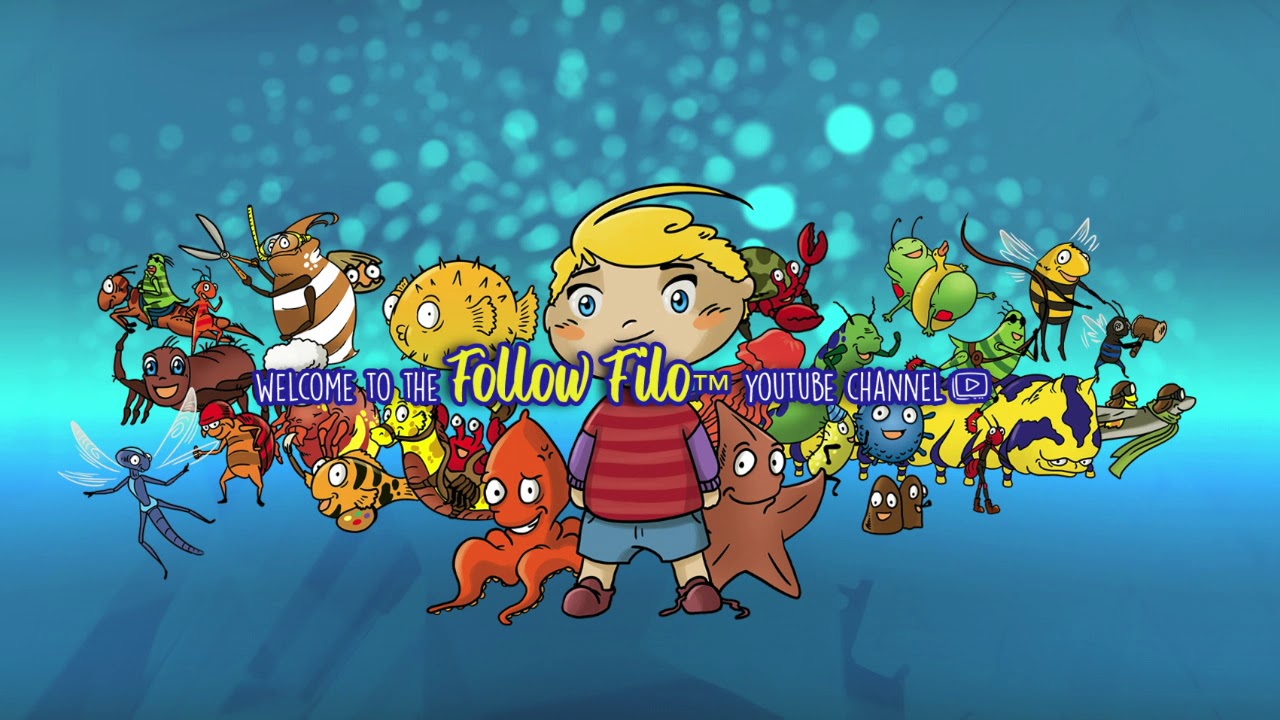 Follow Filo™ & his Theme Song! - YouTube