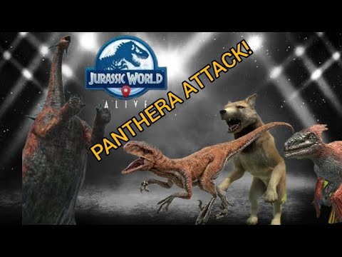 JWA - Panthera attack! #jurassic #jwa #battle #jurassicworldalive # ...