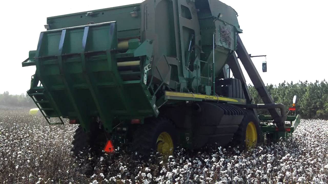 2011 Cotton Picking with Round Module - YouTube