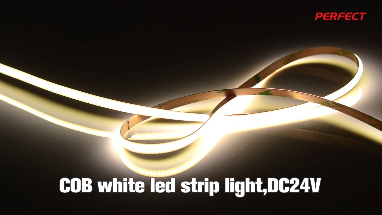 FCOB CCT Tunable White LED Light Strip RA 90 High Density 608 LEDs 10mm ...