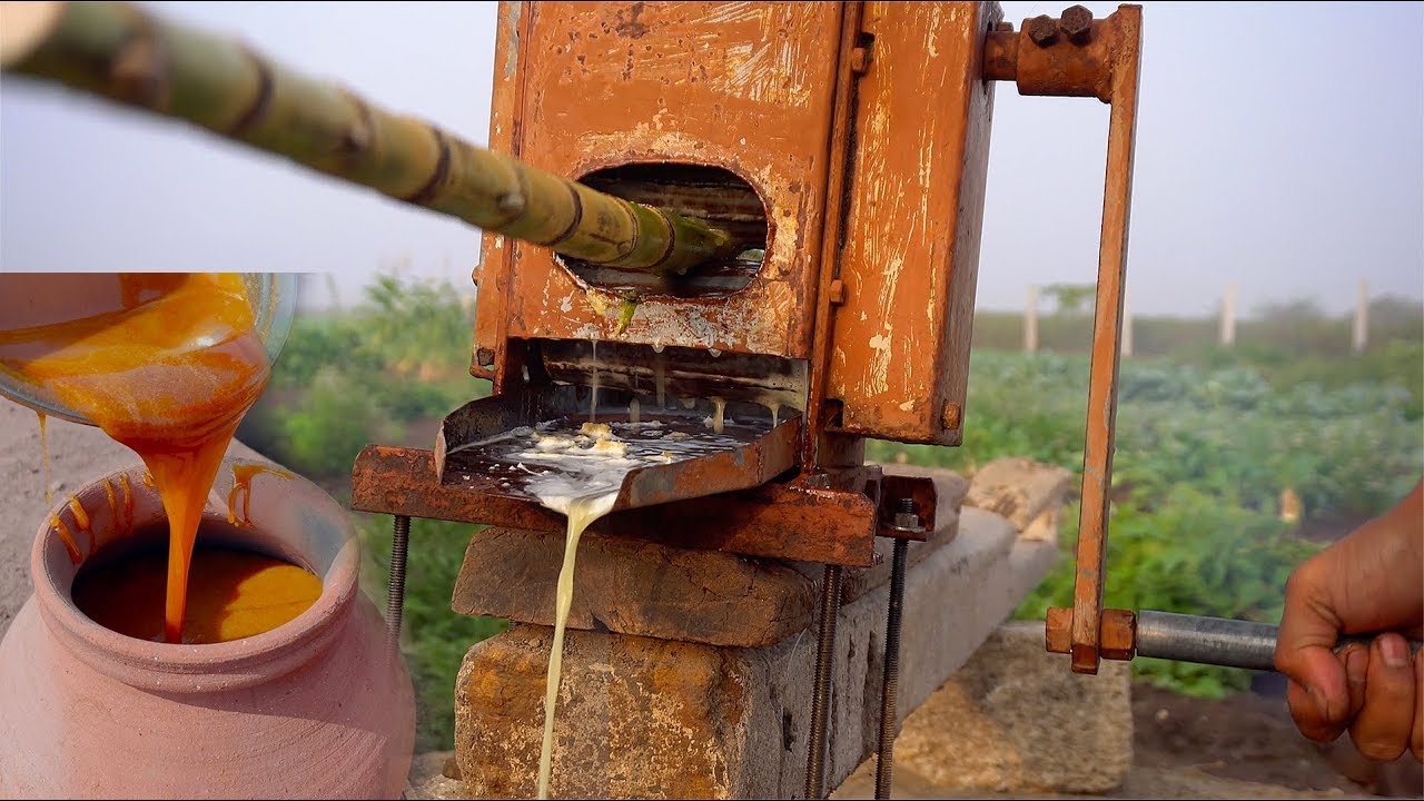 Jaggery Making Process | Best Ever Cooking Show S3E4 | Nikunj Vasoya ...