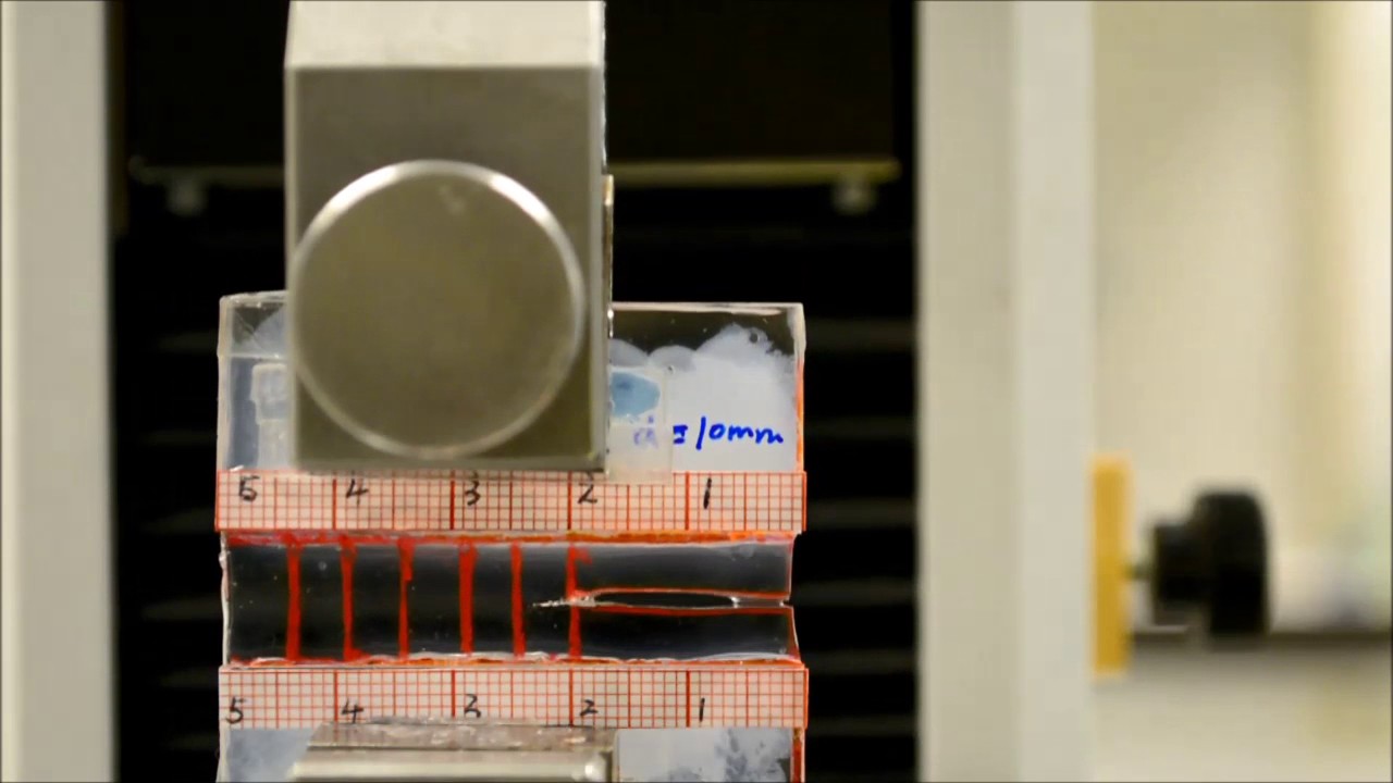 Fatigue fracture of hydrogels - YouTube