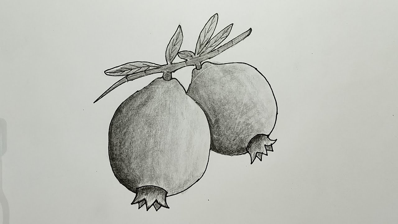 How to draw two pomegranate with pencil sketch step by step/Easy ...