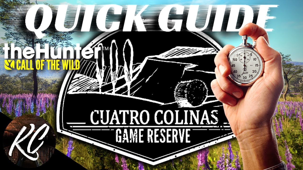 Cuatro Colinas QUICK GUIDE - ALL Hotspots, Loadouts, Integrity Chart ...