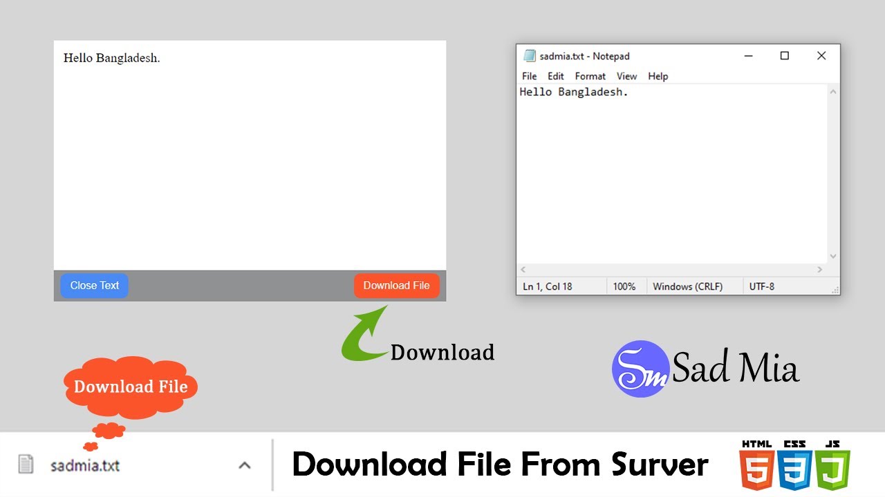 How to Make Download File From Server Using HTML CSS & JavaScript - YouTube