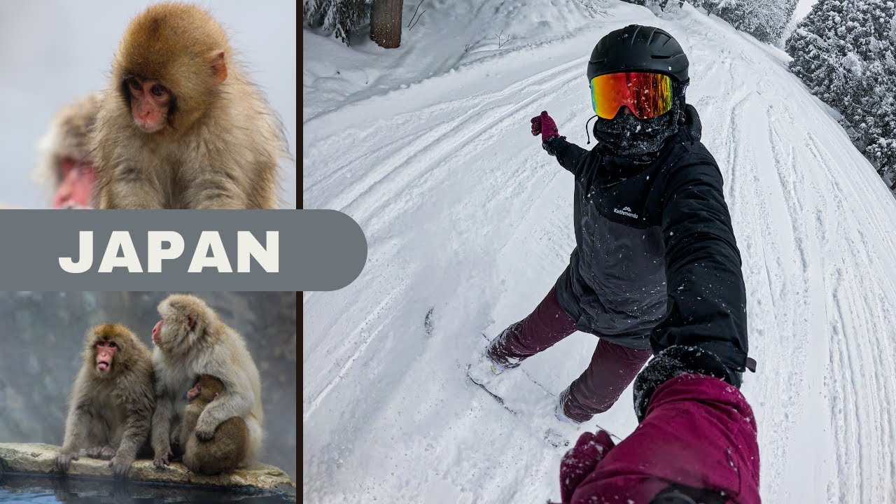 Snowboarding and Snow Monkeys in Japan! | Myoko and Nagano - YouTube