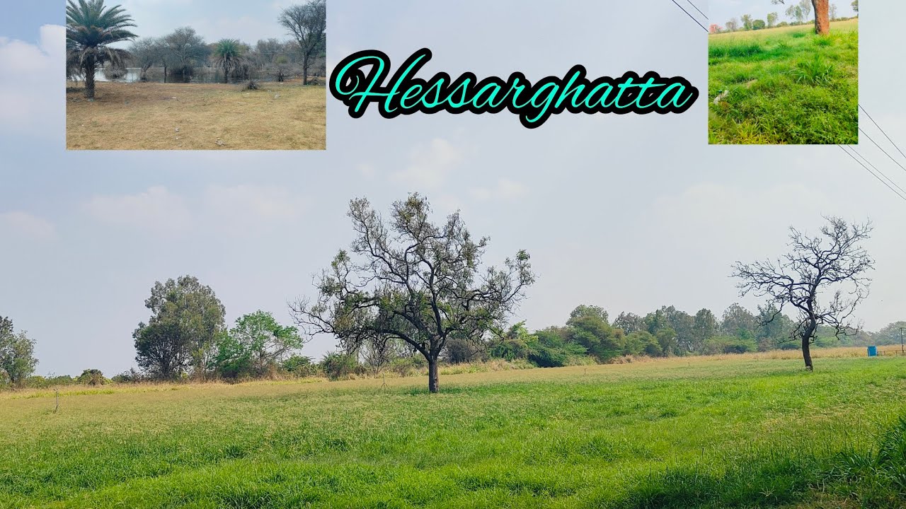 Day trip to Hessarghatta. Places to visit in Bangalore. Hessarghatta ...