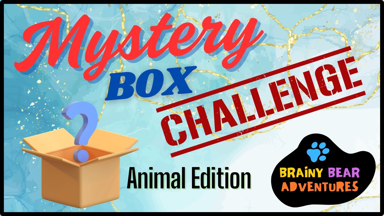 Mystery Box Challenge with Brainy Bear | Animal Edition - YouTube