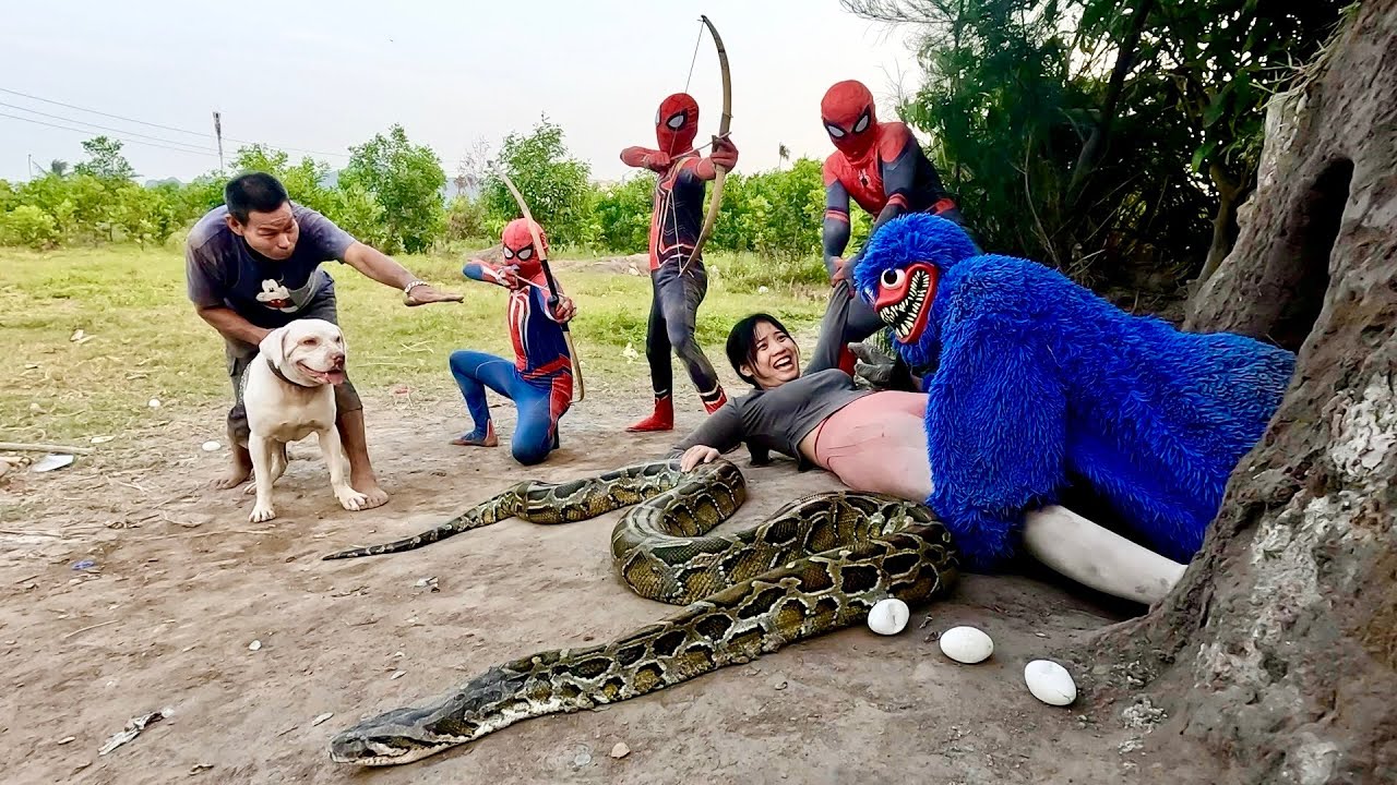 Great War, Spider-Man Squad With Pitbull Dog, Confronting Hungry ...