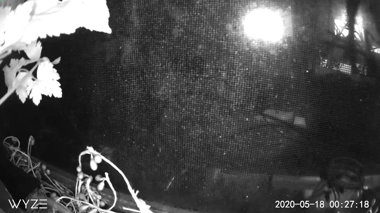 Shadow apparition #shorts #caughtoncamera #paranormal #ghost #Scary ...