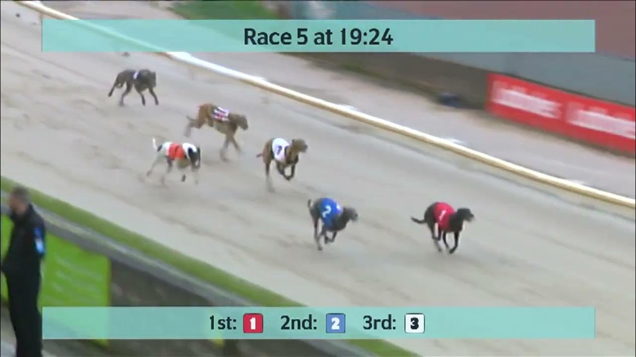 Monmore Greyhounds Races on 29th April 2023 - YouTube Monmore Greyhounds Races on 29th April 2023 - YouTube
