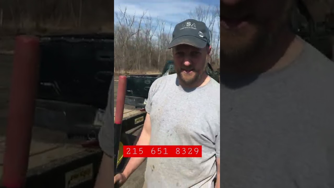 Huge exclamation sycamore trees at Highland Hill Farm near Philadelphia ...