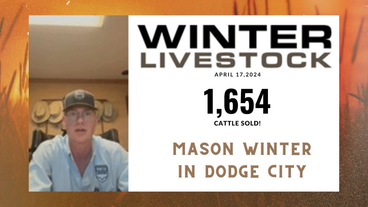 Mason Winter - Winter Livestock Dodge City Market Report - April 17 ...