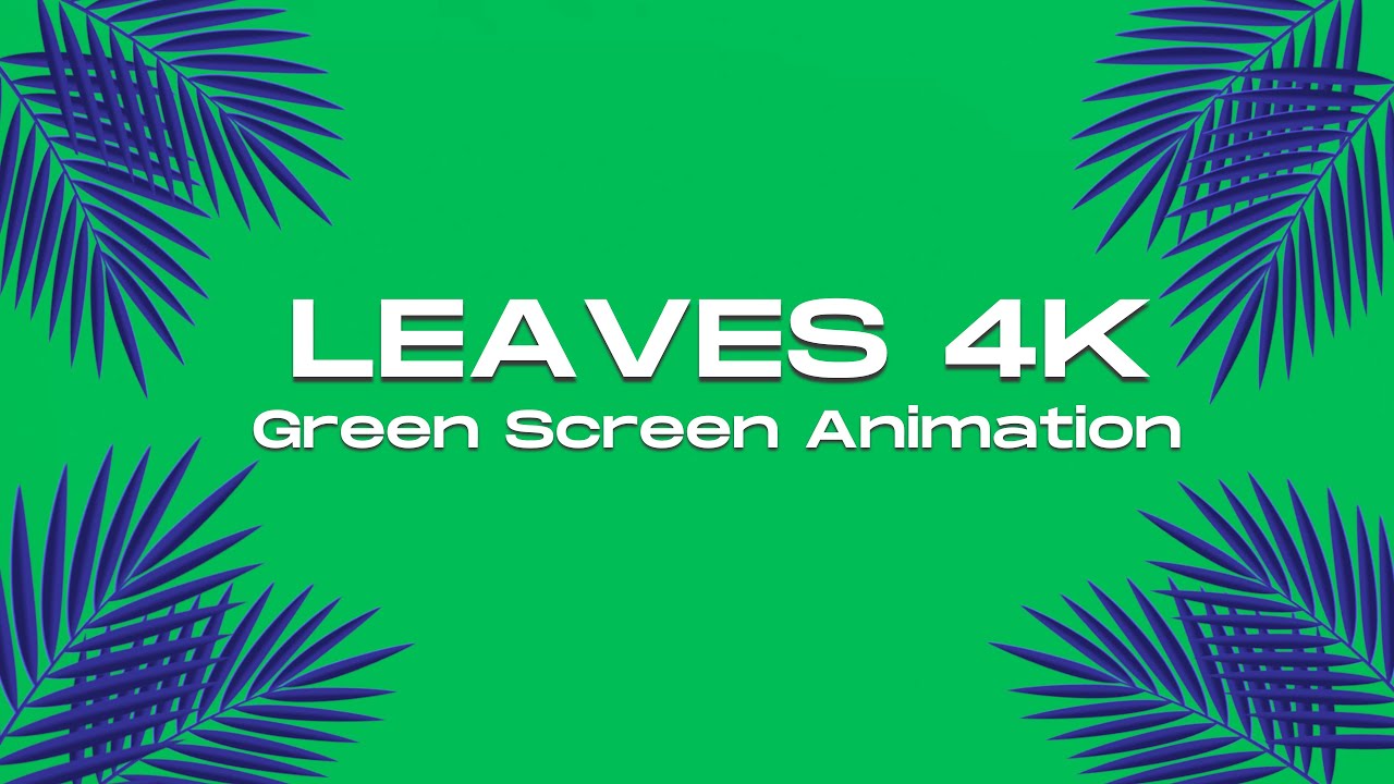 The Most Beautiful 4K Leaf Animation You’ll Ever See - YouTube