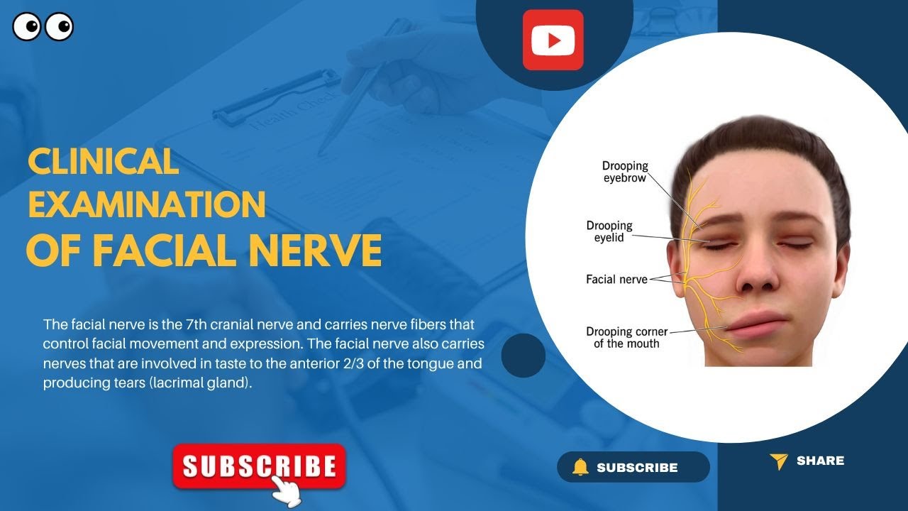 Facial Nerve | Clinical Examination - YouTube
