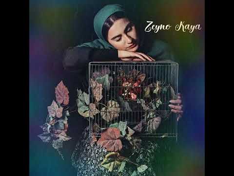 duydumki bensiz yaralı gibisin kurdish and turkish!