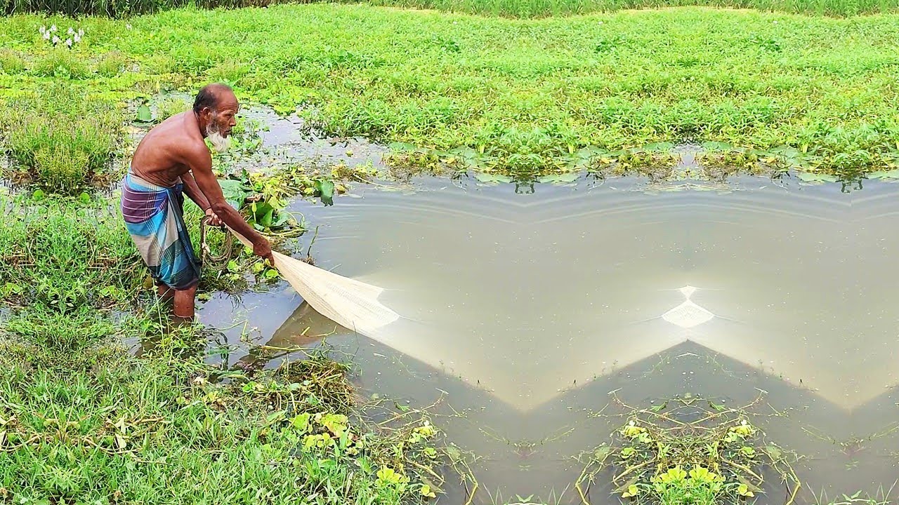 Very Amazing Net Fishing Video - Best Cast Net Fishing Video ...