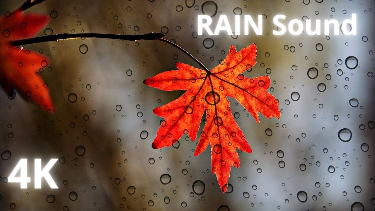 Rain Sound with piano and Thunder Sounds _ Heavy Rain for Sleep, Study ...