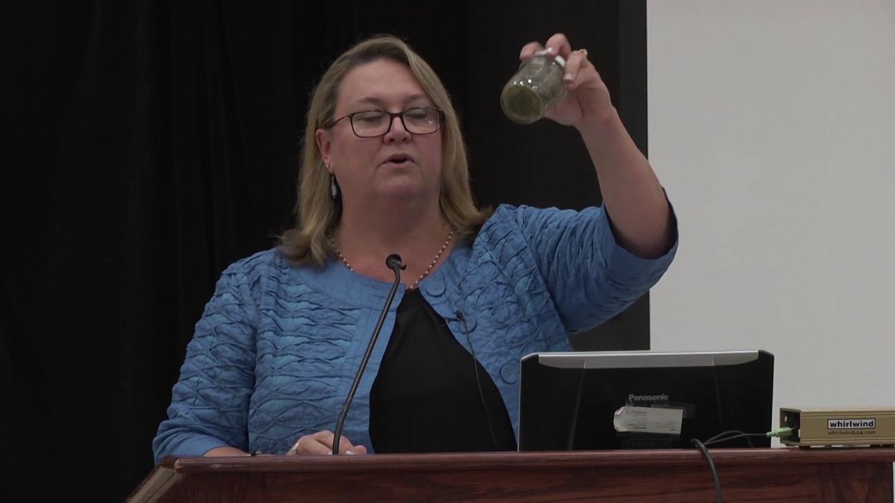 NPR Correspondent Debbie Elliott - YouTube