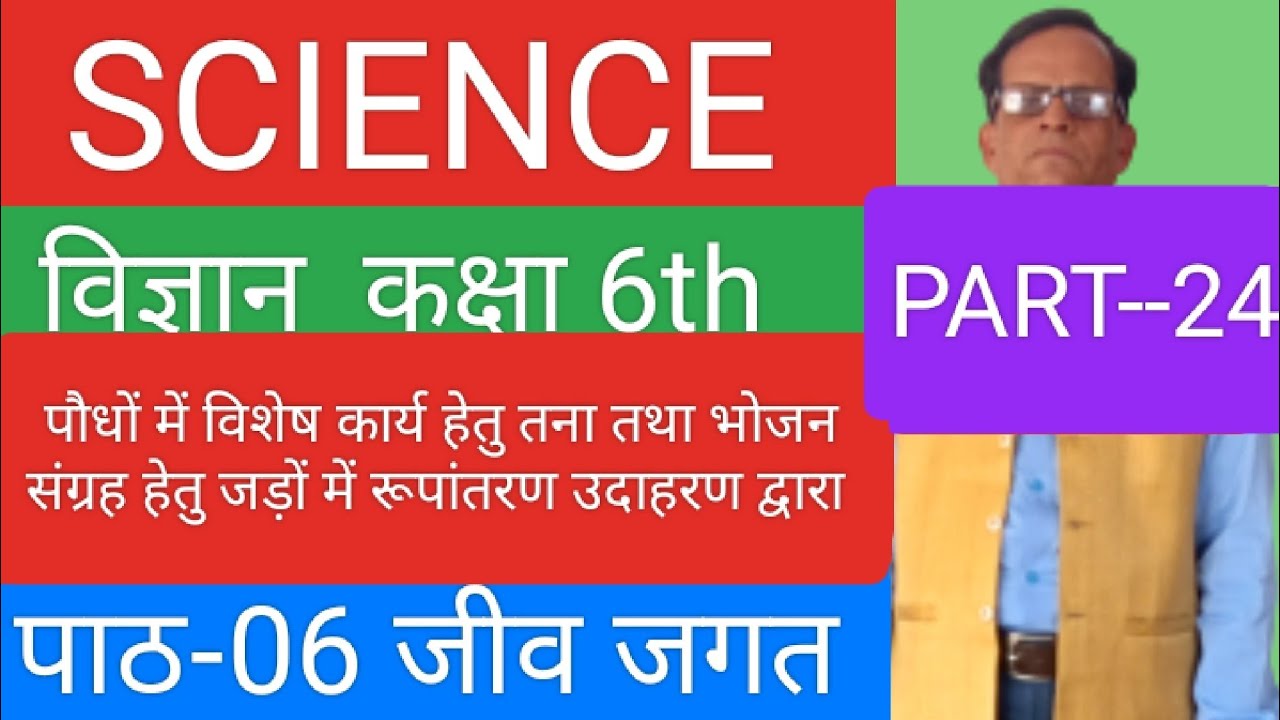 PART-24 CLASS-6th#viral#पौधो के अंगों जैसे तना, तथा भोजन संग्रह हेतु ...