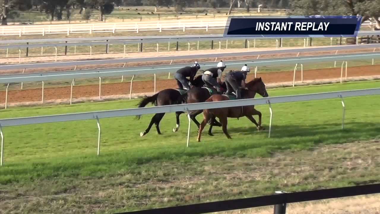 'The Famous 3' - Elegant Fashion 11', Makybe Diva 11' & Rewaaya 11' - 1 ...