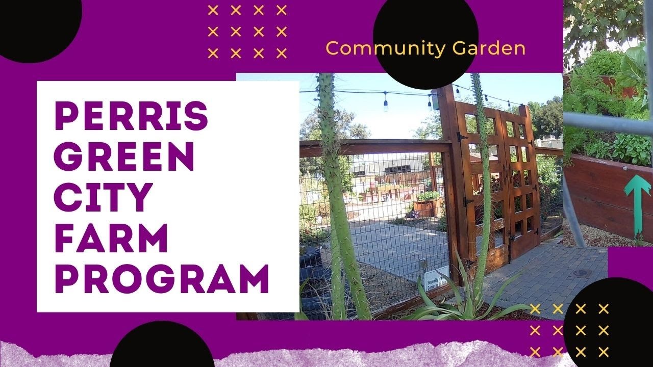 Perris Green City Farm Program - YouTube