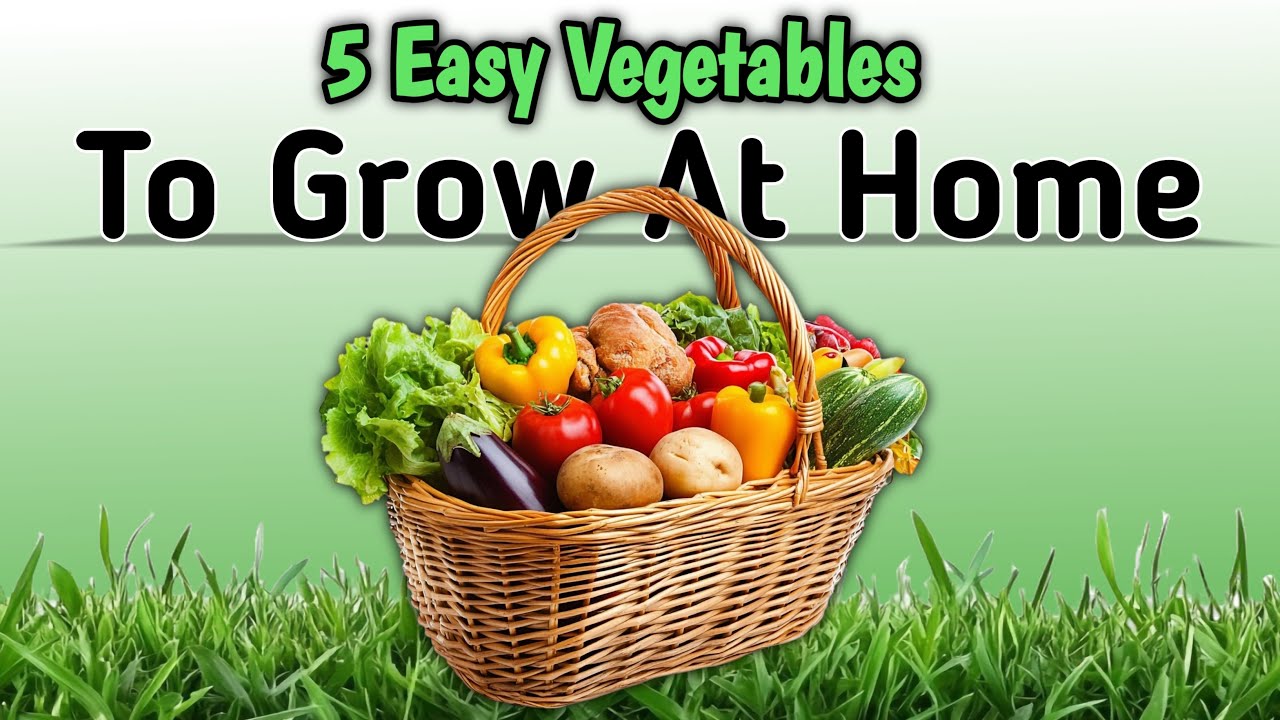 5 Easy Vegetables to Grow at Home - YouTube