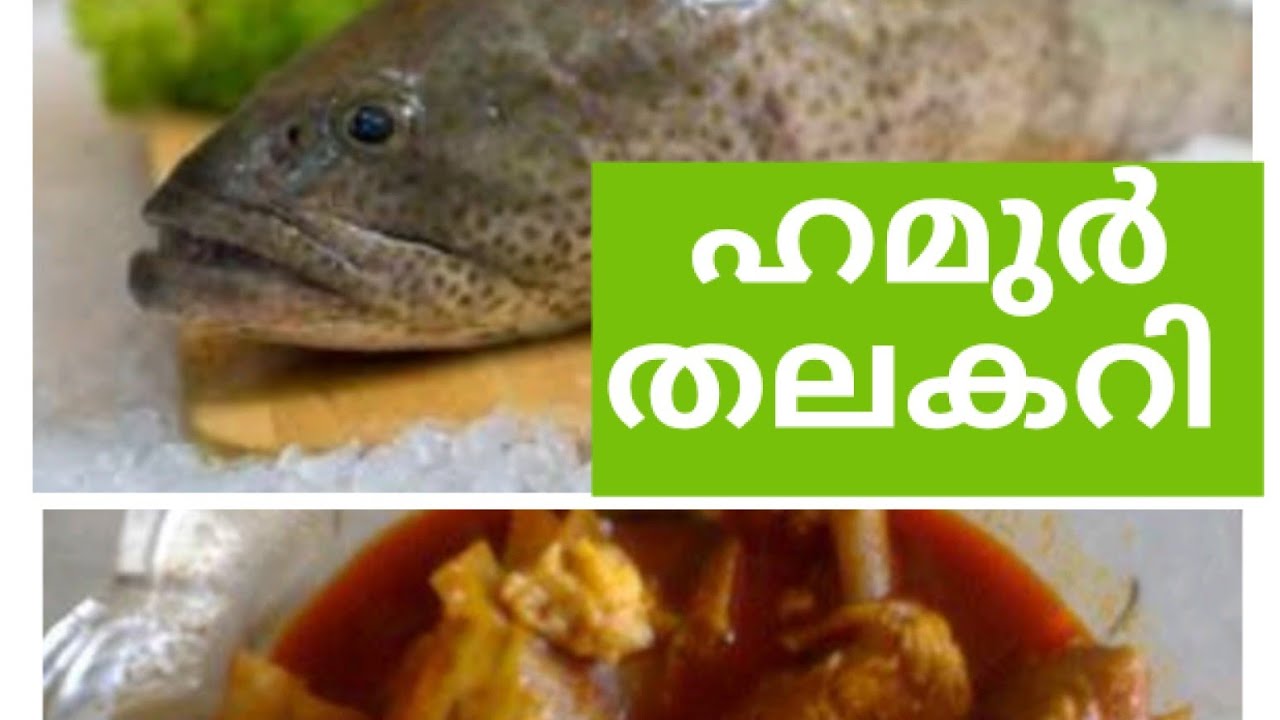Hamour fish/ഹമുർ തലകറി#hamour#trending#keralastyle - YouTube