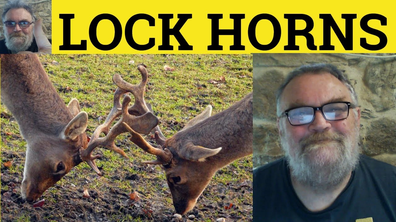 Lock Horns Meaning Lock Horns With Somebody Examples Lock Horns lock-horns-meaning-lock-horns-with-somebody-examples-lock-horns