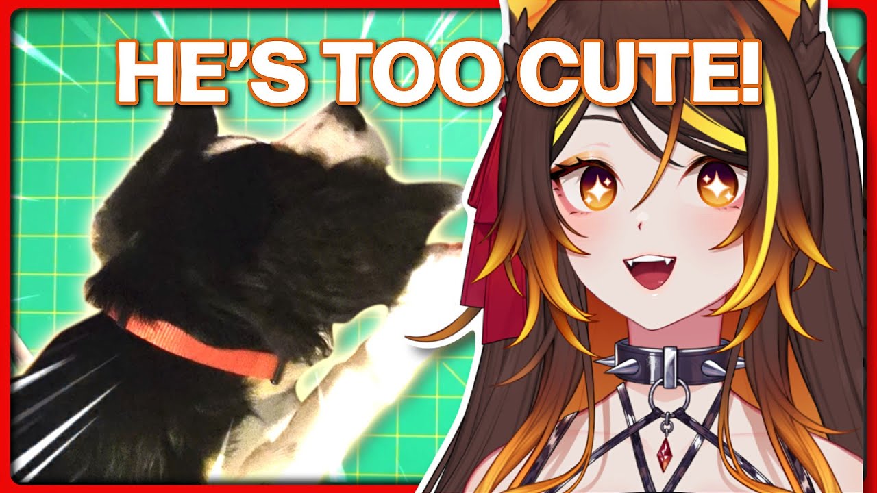 Sinder's New Puppy CRASHED Her Stream! - YouTube