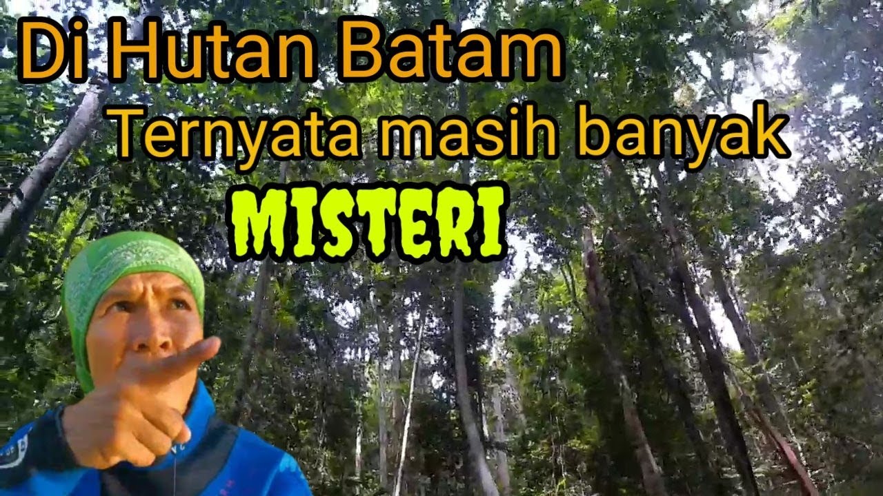 Cara Trekking hutan telaga biru via TWA muka kuning Batam - YouTube