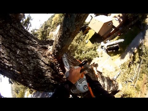 Sugihara 14" lightweight chainsaw bar review by Reg Coates, British ...