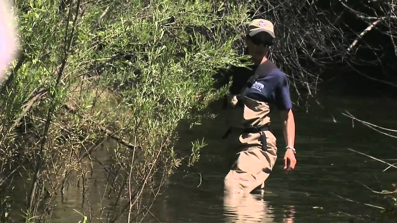 Working the Land - Fish Biologist : America's Heartland - YouTube