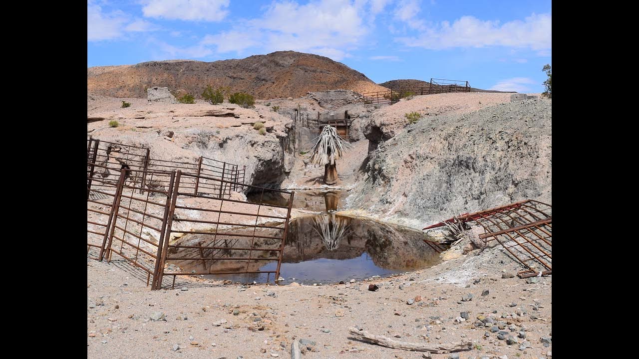 Death Valley Saratoga Spring Pupfish and Owl Springs - YouTube
