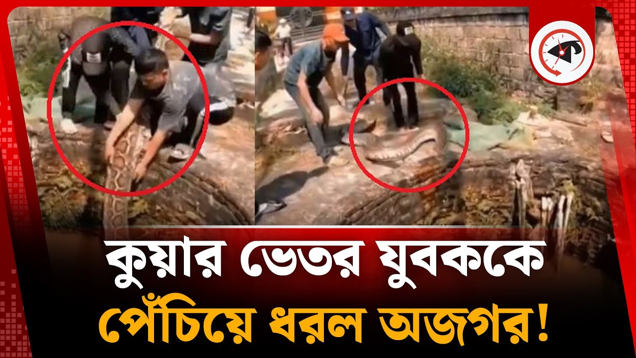 কুয়ার ভেতর যুবককে পেঁ চি য়ে ধ রল অজগর, অতঃপর... | Snake Python | India | Kalbela - YouTube