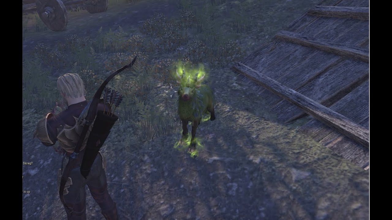 Elder Scrolls Online 'ESO' adquiri o pet Sapling Indrik - YouTube