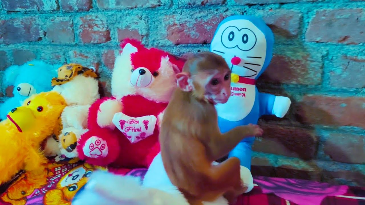Funny monkey baby || monkey cartoons|| monkey bun buns - YouTube