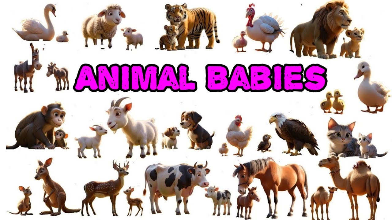 ANIMALS AND THEIR YOUNG ONES | Educational Videos for kids | kids ...
