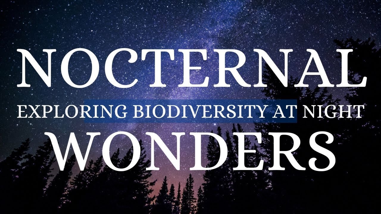 Nocturnal Wonders - Exploring Biodiversity at Night - YouTube