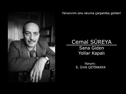 Cemal Süreya | Sana Giden Yollar Kapalı [Şiir] #cemalsureya #şiir #şiirheryerde #sanagidenyollar