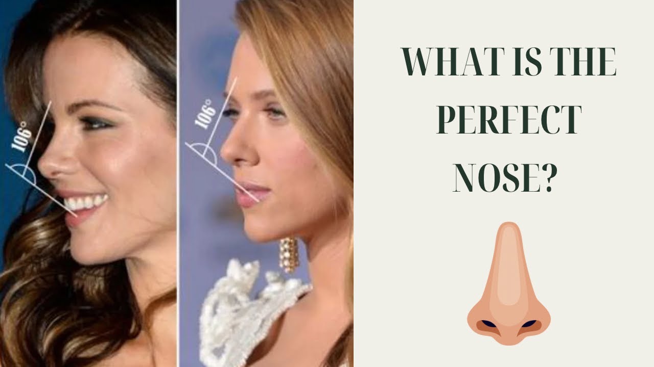 The Perfect Nose: Understanding Aesthetics and Angles #rhinoplasty ...