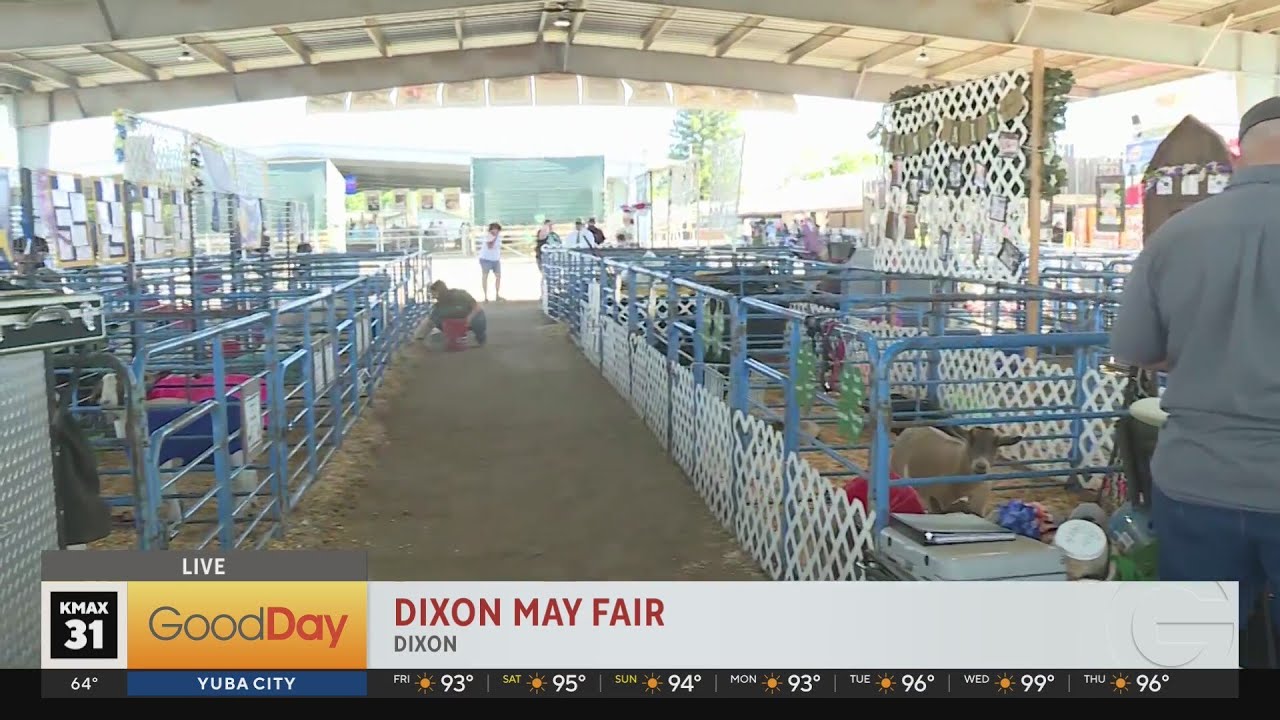 Fun at the Dixon May Fair! - YouTube