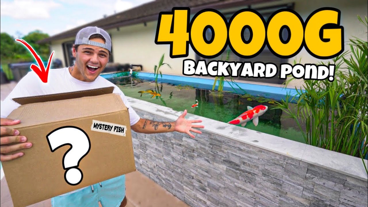 I Bought NEW FISH for My OLD 4000G POND!! (unboxing) - YouTube