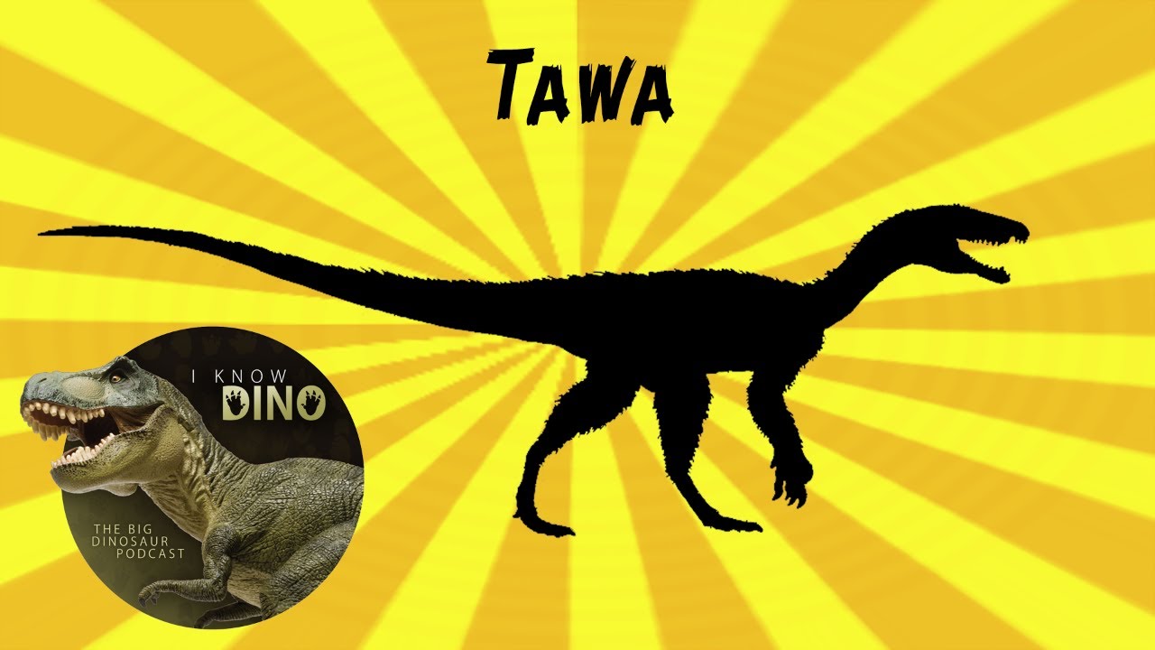 Tawa: Dinosaur of the Day - YouTube