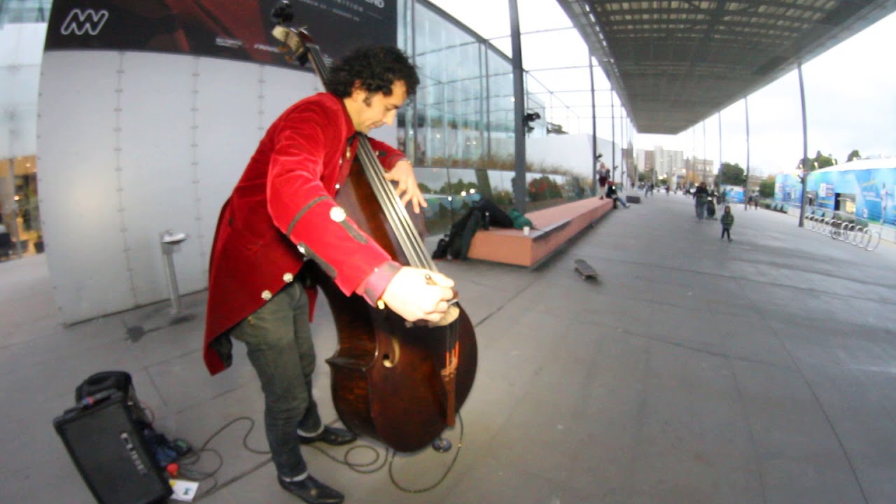 Double Bass Busking At Melbourne Museum, Saint Saens, The Swan - YouTube