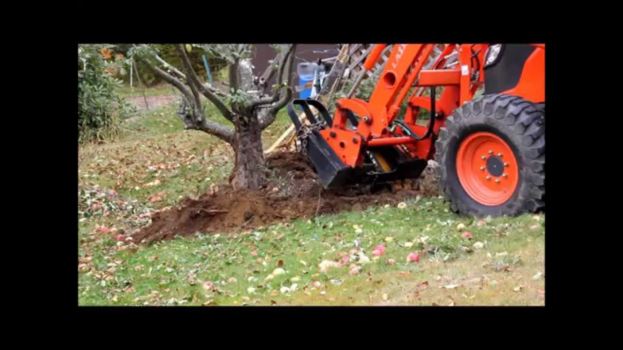 10-13-14-Moving Apple Tree - YouTube