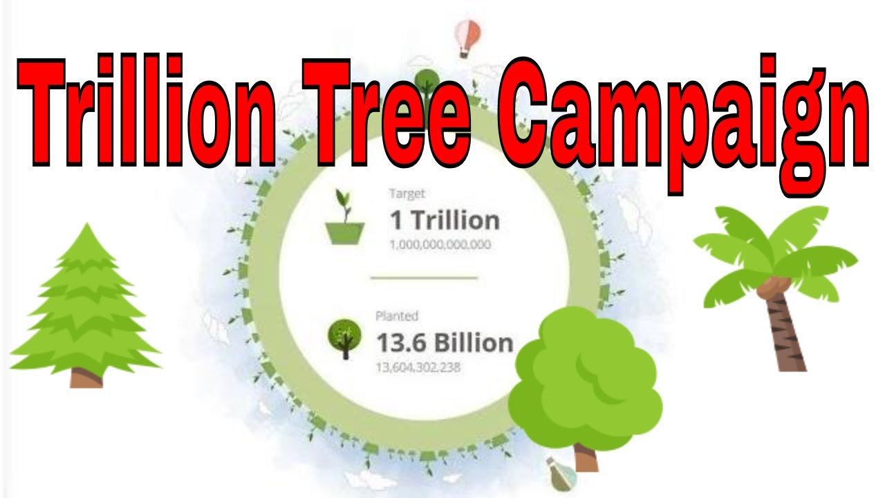 About Trillion Tree Campaign - YouTube