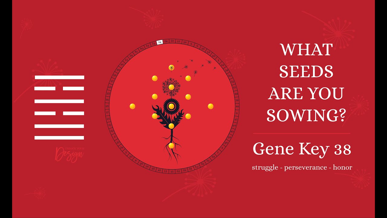 38th Archetype: The Warrior (Gene Key 38) - YouTube