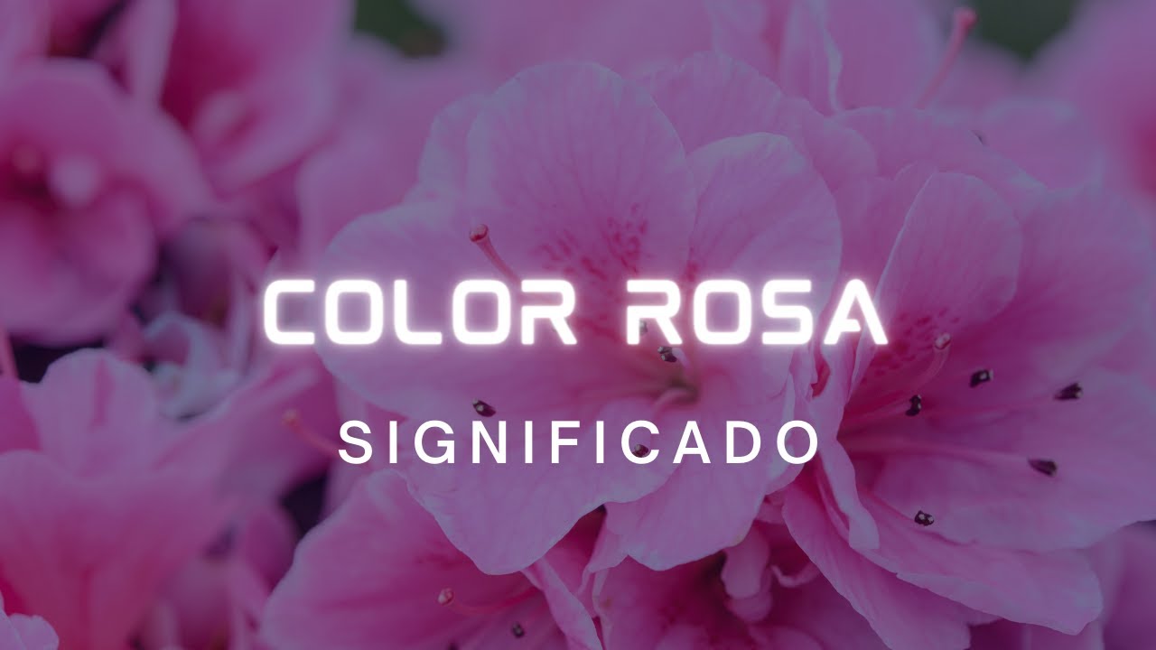 ¿Cual es el significado del color rosa? - YouTube