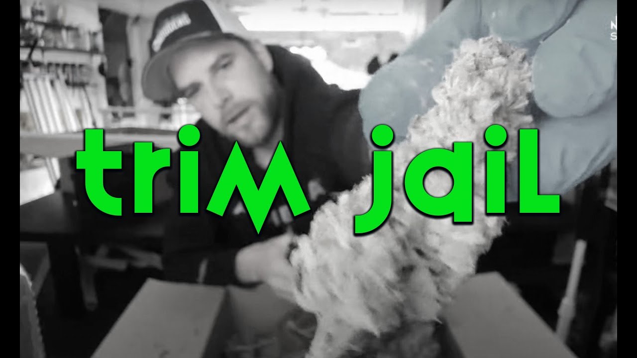 Trim Jail - YouTube